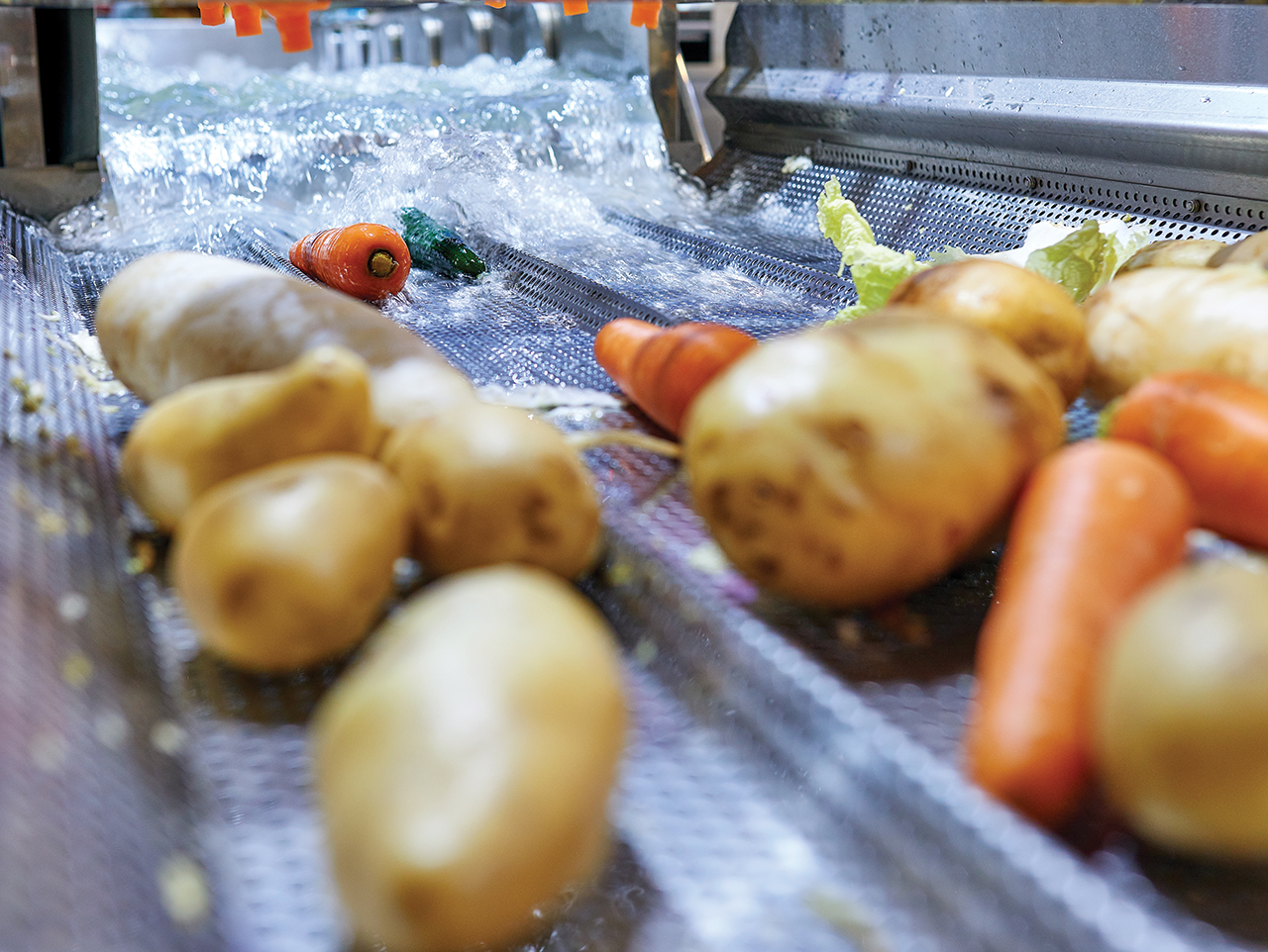 Domaine agroalimentaire : l’hygiène et la sécurité sont-elles en ... Domaine agroalimentaire : l’hygiène et la sécurité sont-elles en ...
